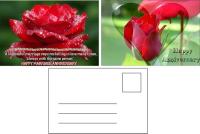 Quality 3D Changing Pictures Anniversary card Birthday Wedding card 3D printing images for sale