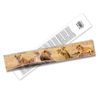 China China Customized Plastic Plant 3D Lenticular Ruler 3D Animal Ruler Lenticular Print for sale