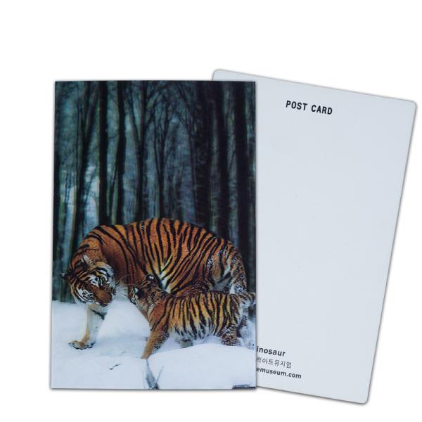 Quality Brown Bear In Alaska Lenticular Card Souvenir Gift Card For Tourist 3d Postcards for sale