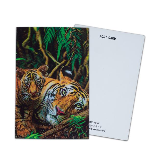 Quality Participation and Donation Options 3D Card with Lenticular Printing for sale