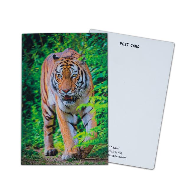 Quality Participation and Donation Options 3D Card with Lenticular Printing for sale