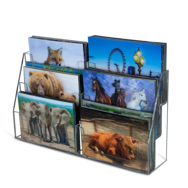 Quality Kids Gifts Dinosaur card 3d Animation Picture 3D Postcard Moving Cards for sale