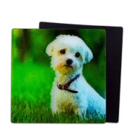 Quality Lovely Puppies 3D Magnets Lenticular 3D Fridge Magnet For Souvenir Gift for sale
