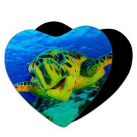 Quality 3D Magnets Sealifes Dolphin Shark Turtle Lenticular Printing Card For Gifts for sale