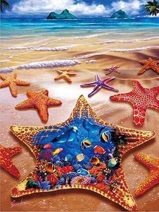 Quality Sealifes Dolphin Turtle Shark Lenticular 3D Motion Card Souvenir Gift Card for sale
