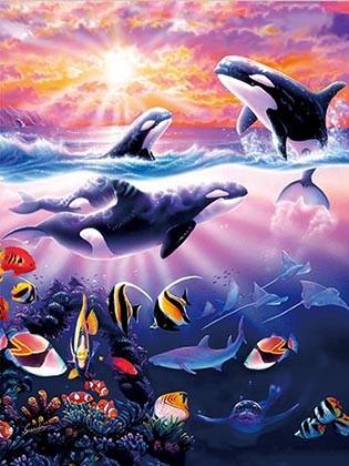 Quality Sealifes Dolphin Turtle Shark Lenticular 3D Motion Card Souvenir Gift Card for sale