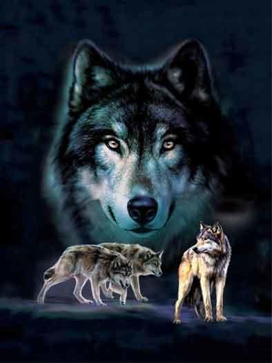 Quality Wall Art Cartoon 3D Lenticular Poster Home Decoration Custom Lenticular Printing for sale