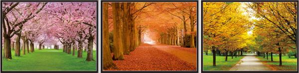 Quality Movies Sports 3D Flip Poster Manga Wall Decor 3D Picture Changing Picture Anime for sale