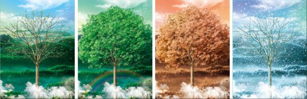 Quality Movies Sports 3D Flip Poster Manga Wall Decor 3D Picture Changing Picture Anime Poster for sale
