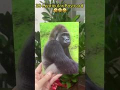 3D 변경 사진 기념일 생일 결혼식 카드 3D 인쇄 이미지