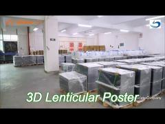 3d lenticular poster  3d wholesale products custom design plastic lenticular product