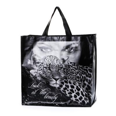 China Reusable Folding Polypropylene Pp Non Woven Shopping Bag Laminated for sale