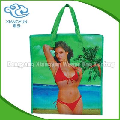 China Foldable Reusable PP Woven Shopping Bag Pp Non Woven Shopping Bags With Zip for sale
