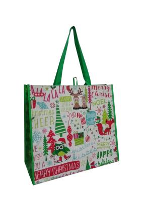 China Foldable Reusable PP Woven Shopping Bag Pp Non Woven Shopping Bags With Zip for sale