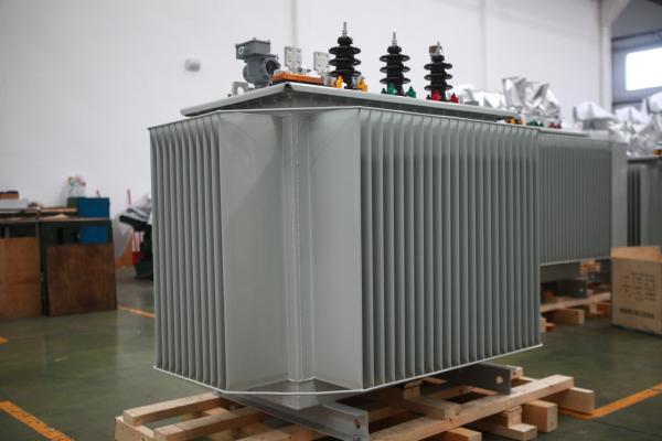 Quality 80kVA 10kV Oil Immersed Distribution Transformer S(B)22-NX1 Energy Efficiency Level 1 for sale