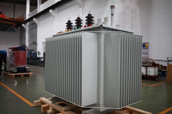 Quality 80kVA 10kV Oil Immersed Distribution Transformer S(B)22-NX1 Energy Efficiency for sale