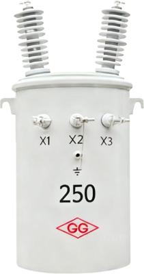 China 250 Kva Distribution Transformer Pole Mounted CSP Completely Self Protected Transformer for sale