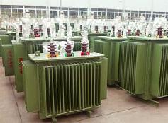 Quality 80kVA 10kV Oil Immersed Distribution Transformer S(B)22-NX1 Energy Efficiency for sale