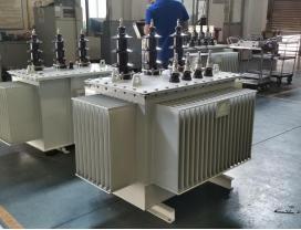 Quality 80kVA 10kV Oil Immersed Distribution Transformer S(B)22-NX1 Energy Efficiency for sale