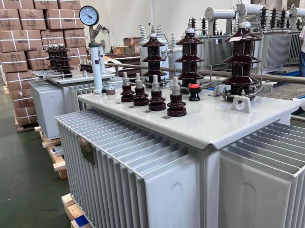 Quality Oil Immersed 250 Kva Distribution Transformer 20kV S(B)22-NX1 For Power for sale