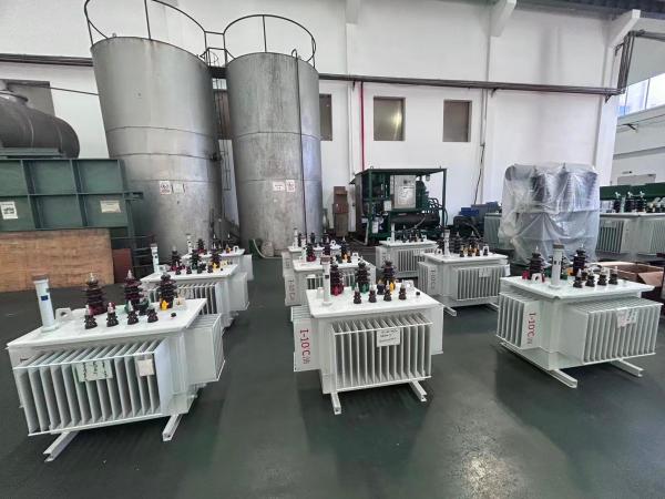 Quality 20kV Oil Immersed Distribution Transformer 630kVA S(B)13-NX3 Energy Efficiency for sale