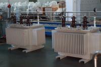 Quality 20kV Oil Immersed Distribution Transformer 630kVA S(B)13-NX3 Energy Efficiency for sale