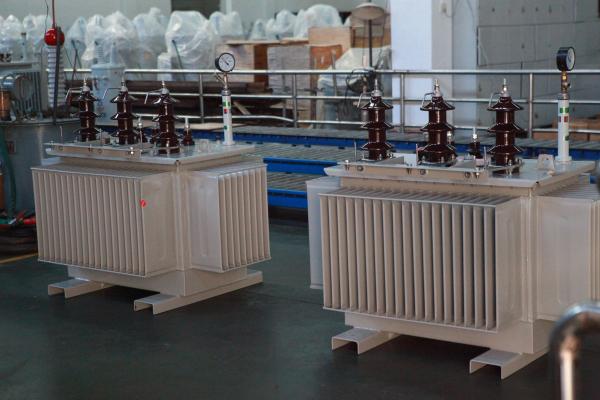 Quality 20kV Oil Immersed Distribution Transformer 630kVA S(B)13-NX3 Energy Efficiency for sale