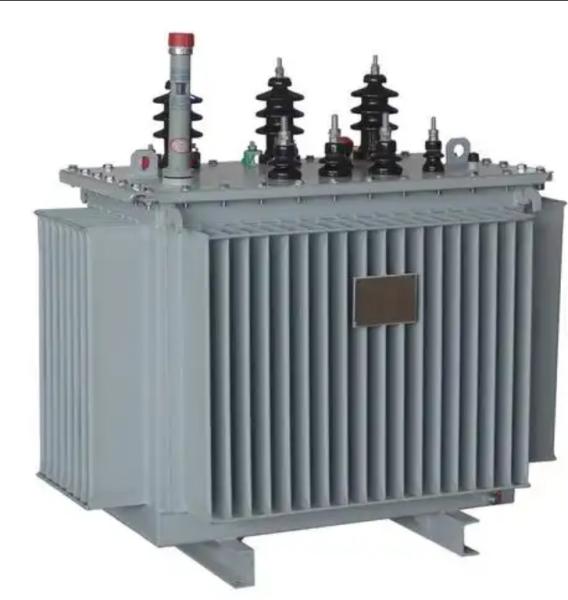 Quality Oil Immersed 250 Kva Distribution Transformer 20kV S(B)22-NX1 For Power for sale