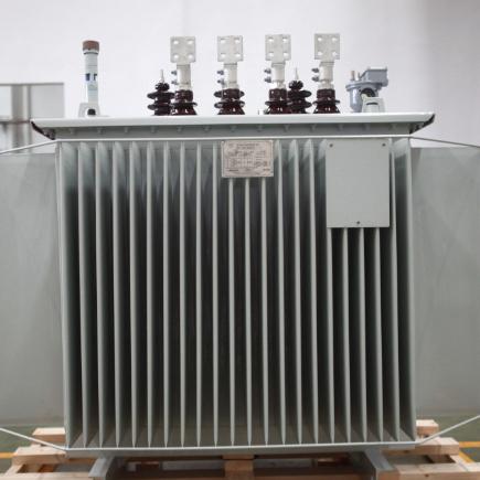 Quality 30kVA Amorphous Alloy Oil Immersed Distribution Transformer 10kV S(B)H21-NX2 Energy Efficiency Level 2 for sale