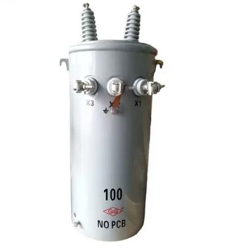 China Pad-Mounted Single-Phase 100 kVA CSP Transformer for Industrial Auxiliary Power Supply for sale