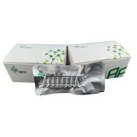 China 48 Tests / Box 5-20mins High Sensitivity RNA Amplification Kit for sale