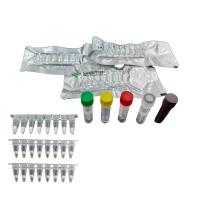 China Influenza A Virus Constant Temperature Pathogen Detection Kit Fluorescence for sale