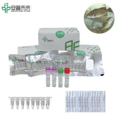 Cina Kit di amplificazione dell' RNA ad alta sensibilità basato su enzimi in vendita