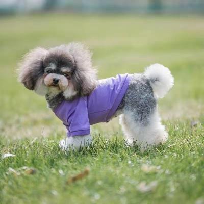 Cina Colori 100% dei vestiti dei cani del cotone vari facoltativi in vendita