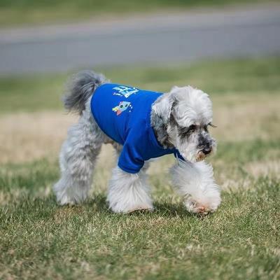 Cina Colori 100% dei vestiti dei cani del cotone vari facoltativi in vendita