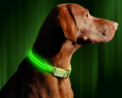 China LED Dog Collar USB Rechargeable 2 Colors 3 Sizes for sale