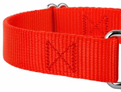 Cina 2 strati di cane del collare del ciclo comodo di nylon molle della martingala per la camminata del cane in vendita