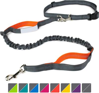 Cina Nylon libero Eco del guinzaglio 100% del cane dell'ammortizzatore ausiliario di groviglio amichevole in vendita