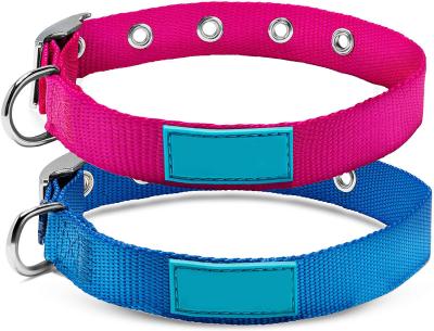 China Solid Color Heavy Duty Martingale Collar Eco Friendly Adjustable Nylon Dog Collar for sale