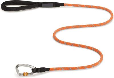 China Adjustable Size Nylon Dog Leash , Strong Flexible Dog Leash Durable Eco Friendly for sale