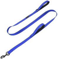 China Double Handle Reflective Nylon Dog Leash for sale