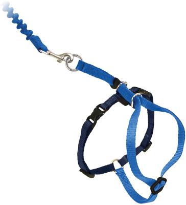 China Adjustable Nylon Cat Harness Collar With Bungee Leash for sale