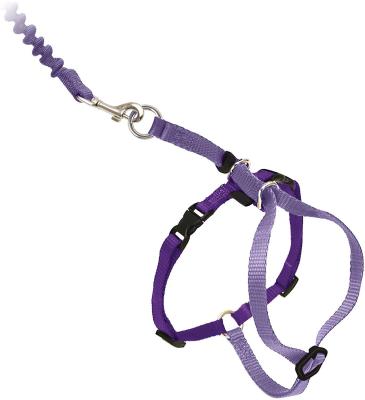China Adjustable Nylon Cat Harness Collar With Bungee Leash for sale