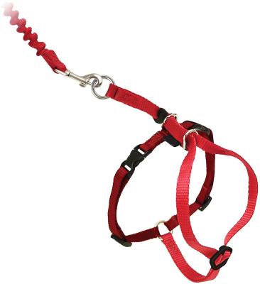 China Adjustable Nylon Cat Harness Collar With Bungee Leash for sale
