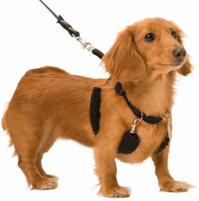 China Easy Step In No Choke Dog Training Collars Halter With Detachable Restraints for sale