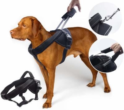 Cina Morbidezza di nylon resistente dell'imbracatura per cani riempita con breve progettazione integrata del guinzaglio estesa speciale in vendita