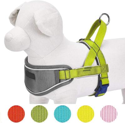 Cina Imbracatura per cani di nylon di opzione di 6 dimensioni, imbracatura per cani riempita neoprene durevole in vendita