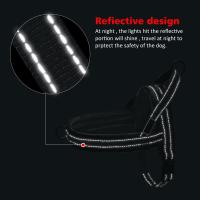 China Escape Proof Reflective Dog Harness For Walking Training for sale