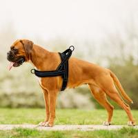 China Escape Proof Reflective Dog Harness For Walking Training for sale