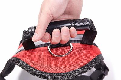 Cina Controllo di nylon del doppio dell'imbracatura per cani nessuna tirata in vendita